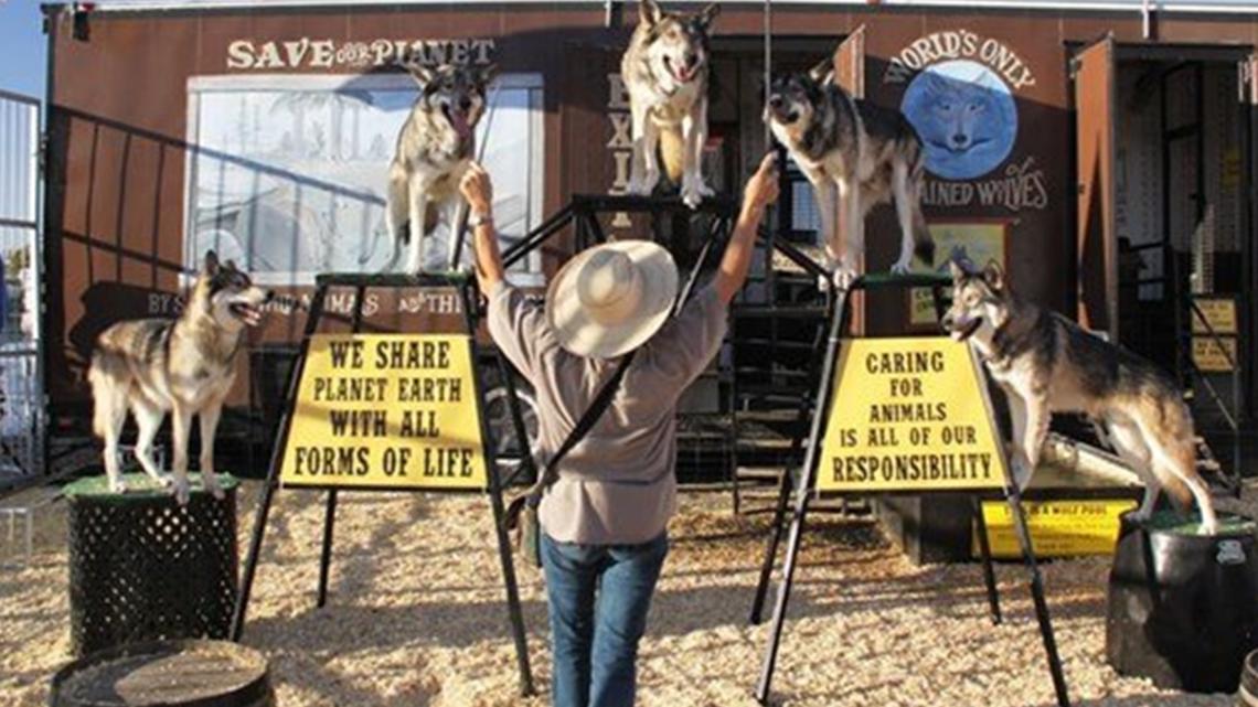 2025 Indiana State Fair announces new list of attractions, events ...