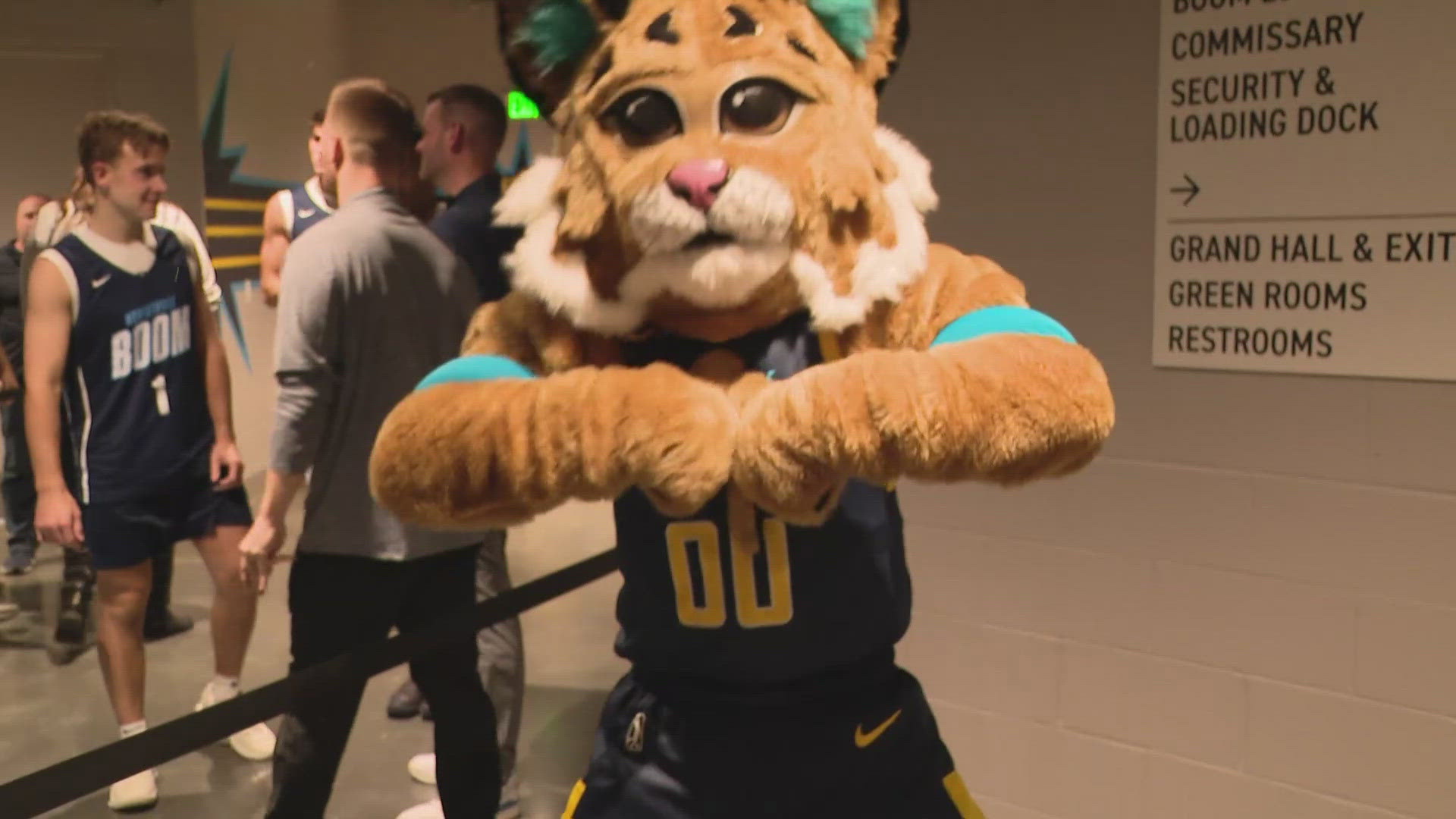 Single-game tickets on sale for Noblesville Boom's inaugural season ...