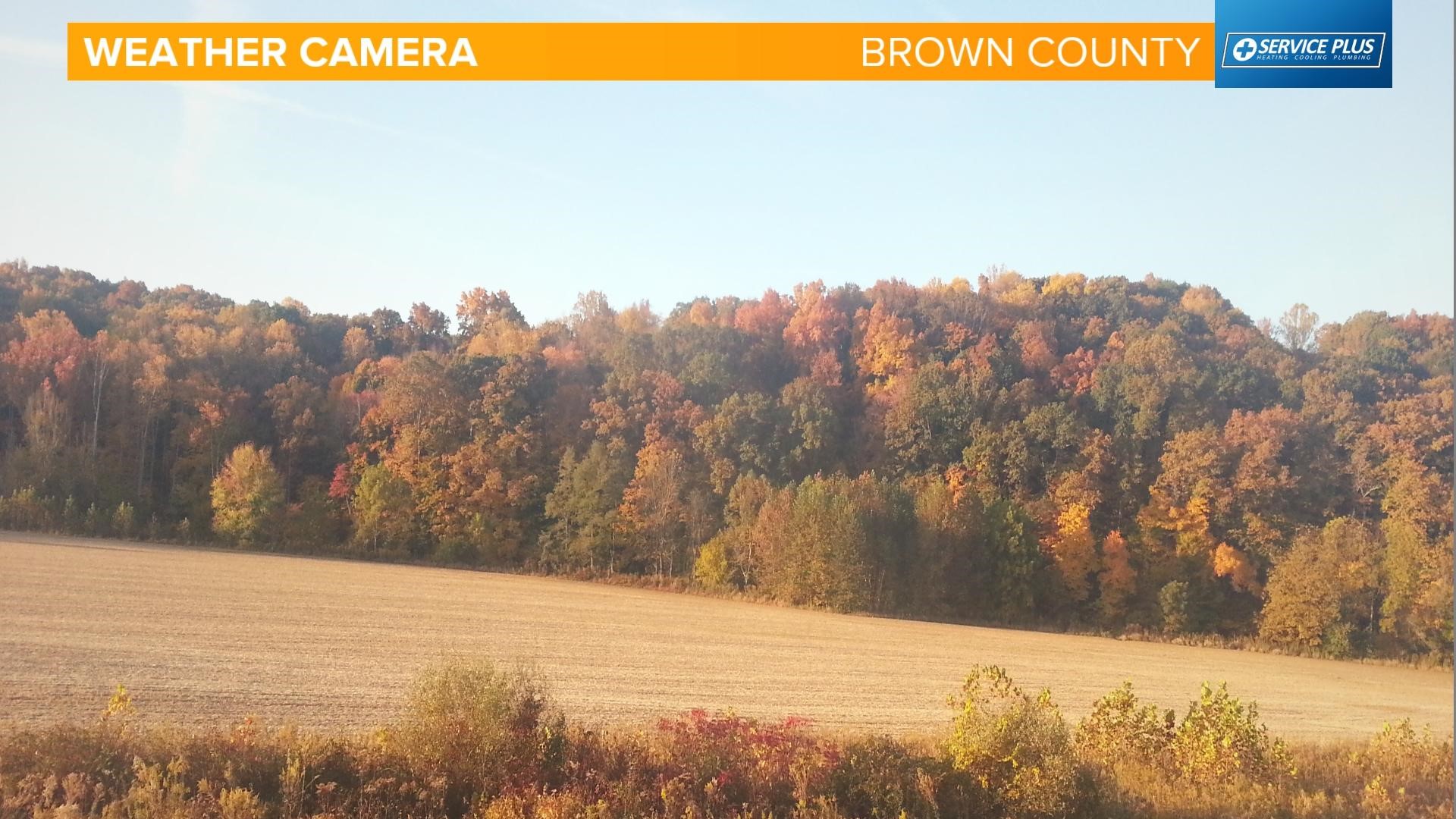 Live Doppler 13 Weather Blog: Mid-October leaf update | wthr.com