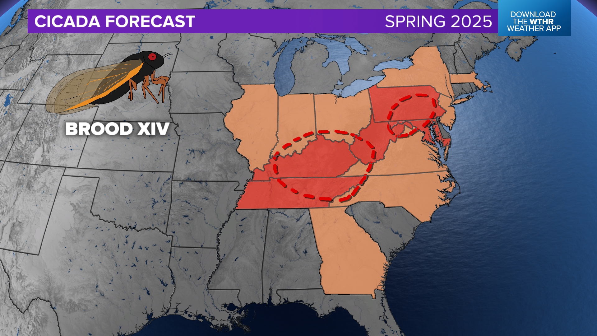 Local News | Huntsville, Alabama | Tennessee Valley | rocketcitynow.com