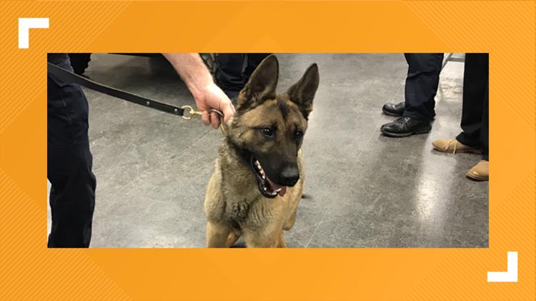 IMPD updates criteria for K-9 deployment | wthr.com