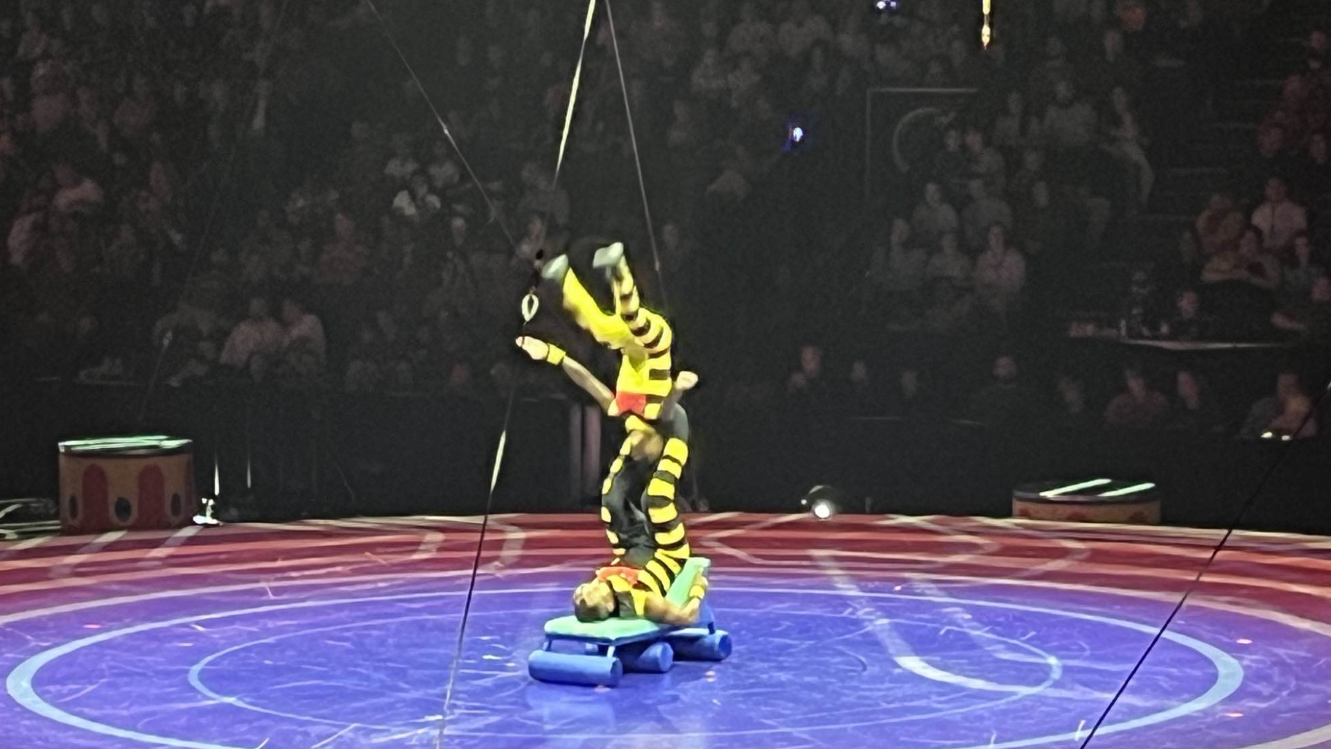 New Ringling Bros. and Barnum and Bailey Circus comes to Indy | wthr.com