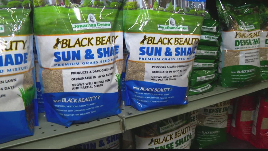 Pat Sullivan helps you choose the right grass seed | wthr.com