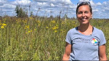 IU grad brings real bison back to Indiana as university welcomes back ...