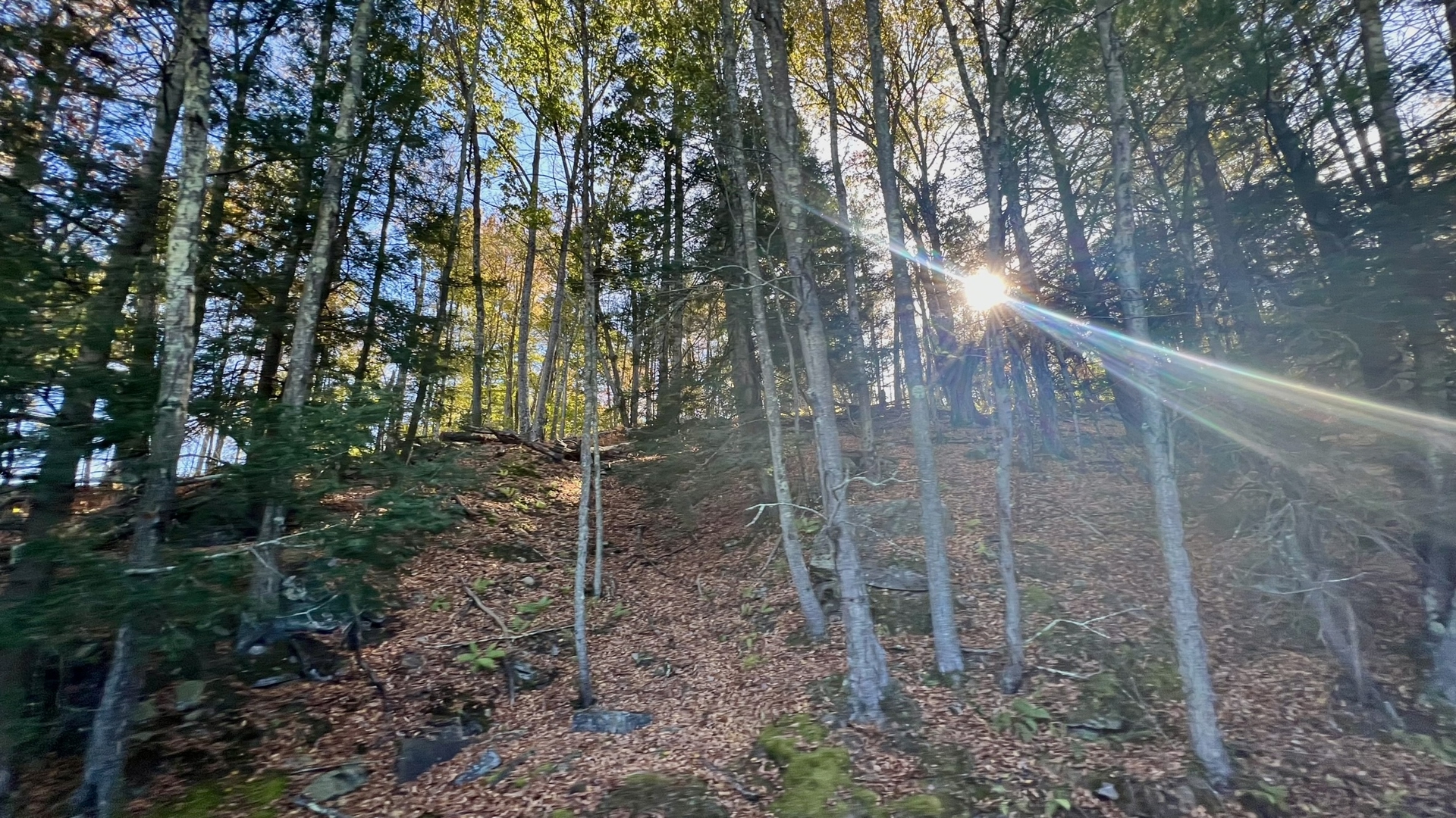 The Stourbridge Line offers scenic Pennsylvania train excrusions | wthr.com