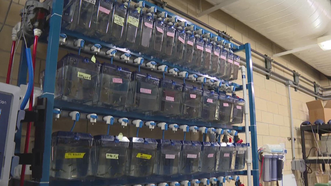 Here's how you can protect your family from PFAS | wthr.com