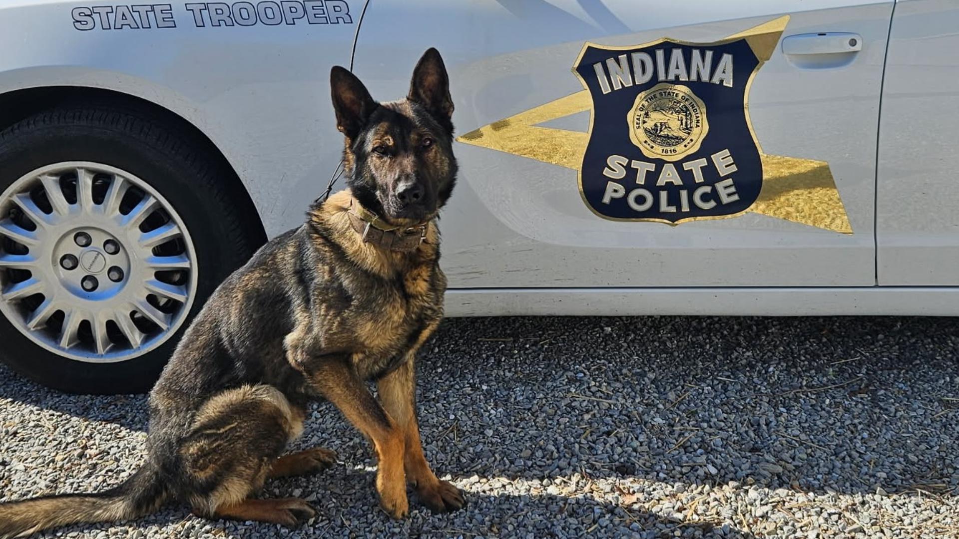 ISP K-9 officer gets body armor donation | wthr.com