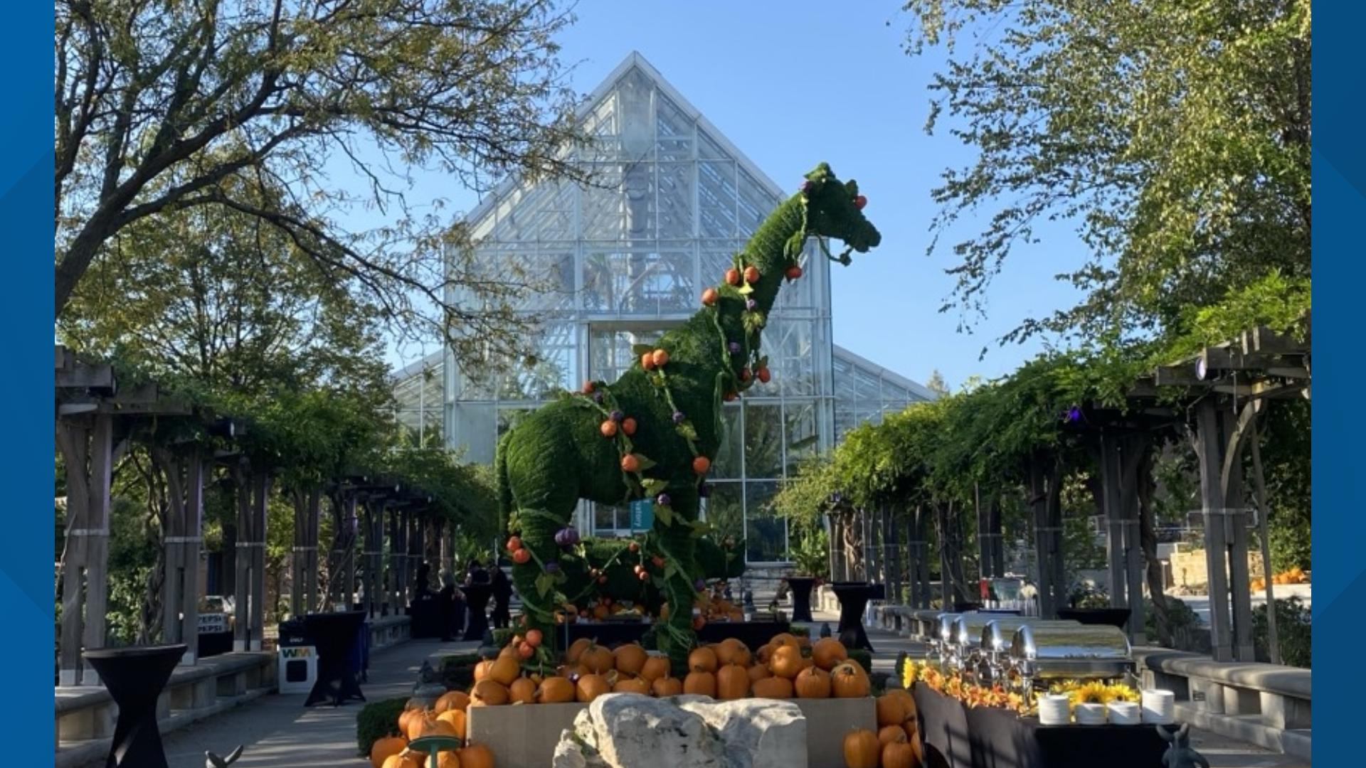 ZooBoo returns to the Indianapolis Zoo for 2024 | wthr.com