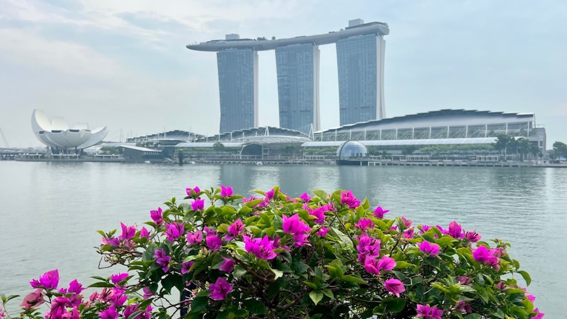 Indy redevelopment leaders inspired by Singapore trip | wthr.com