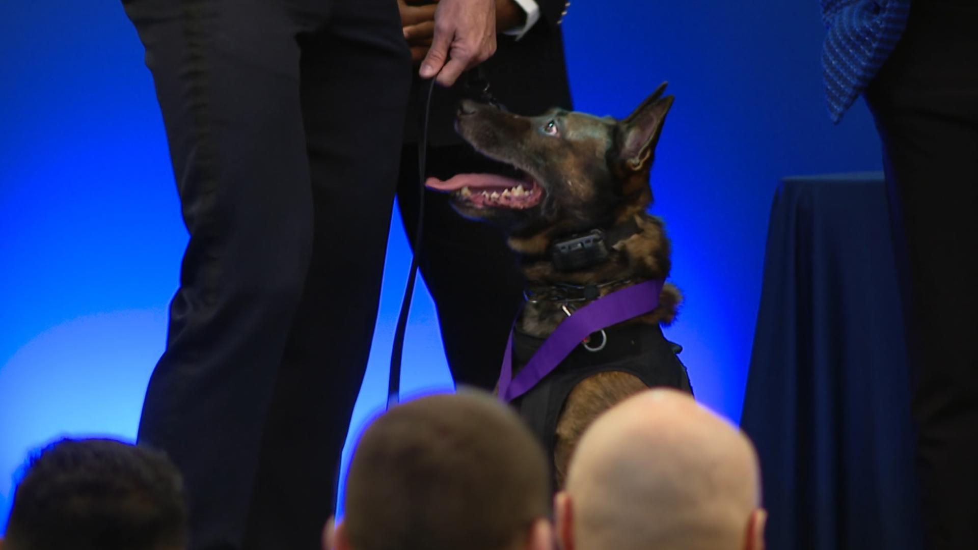 IMPD releases video of police shooting that happened after K-9 was ...