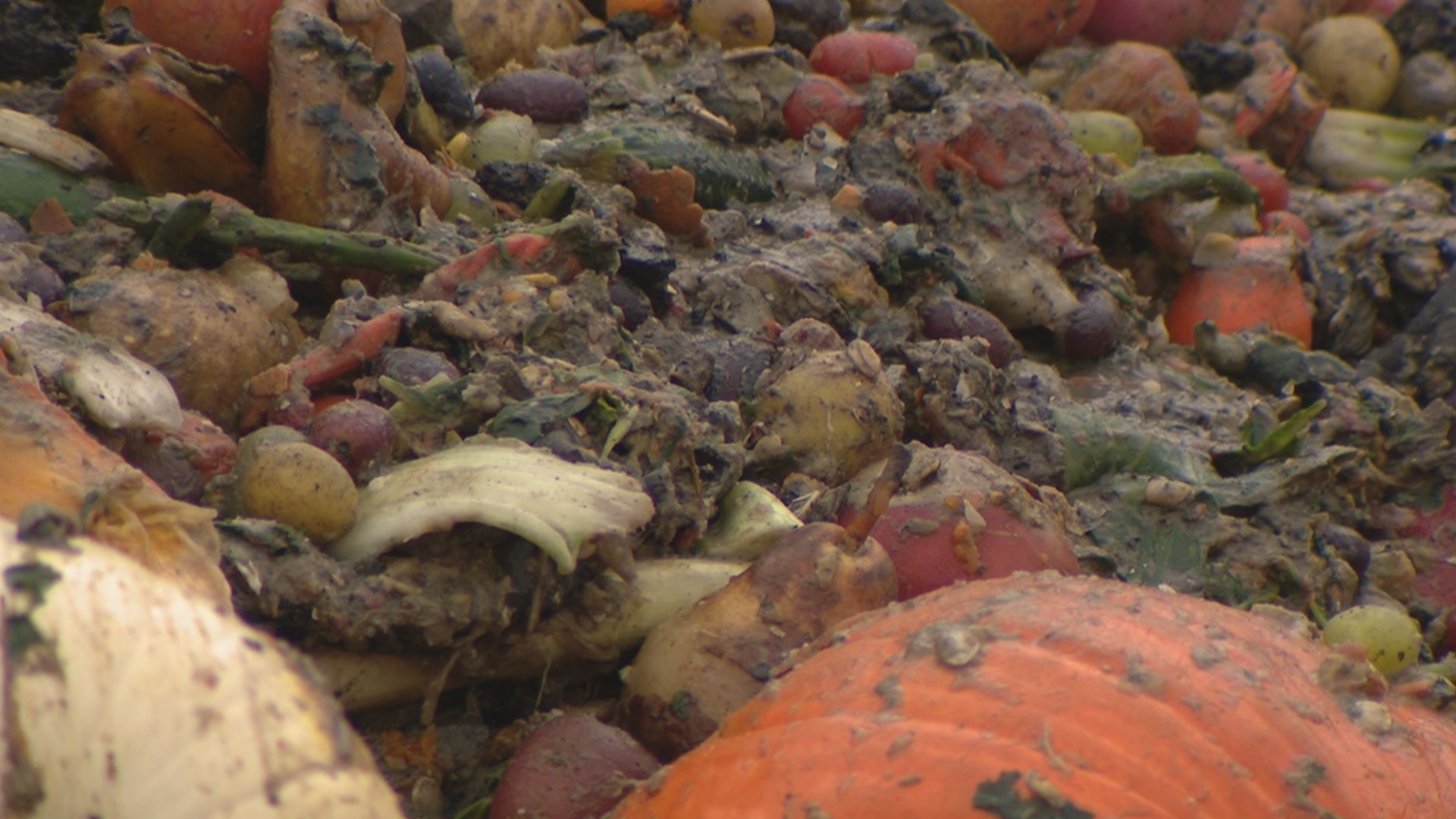 Composting can give some household waste a second life | wthr.com