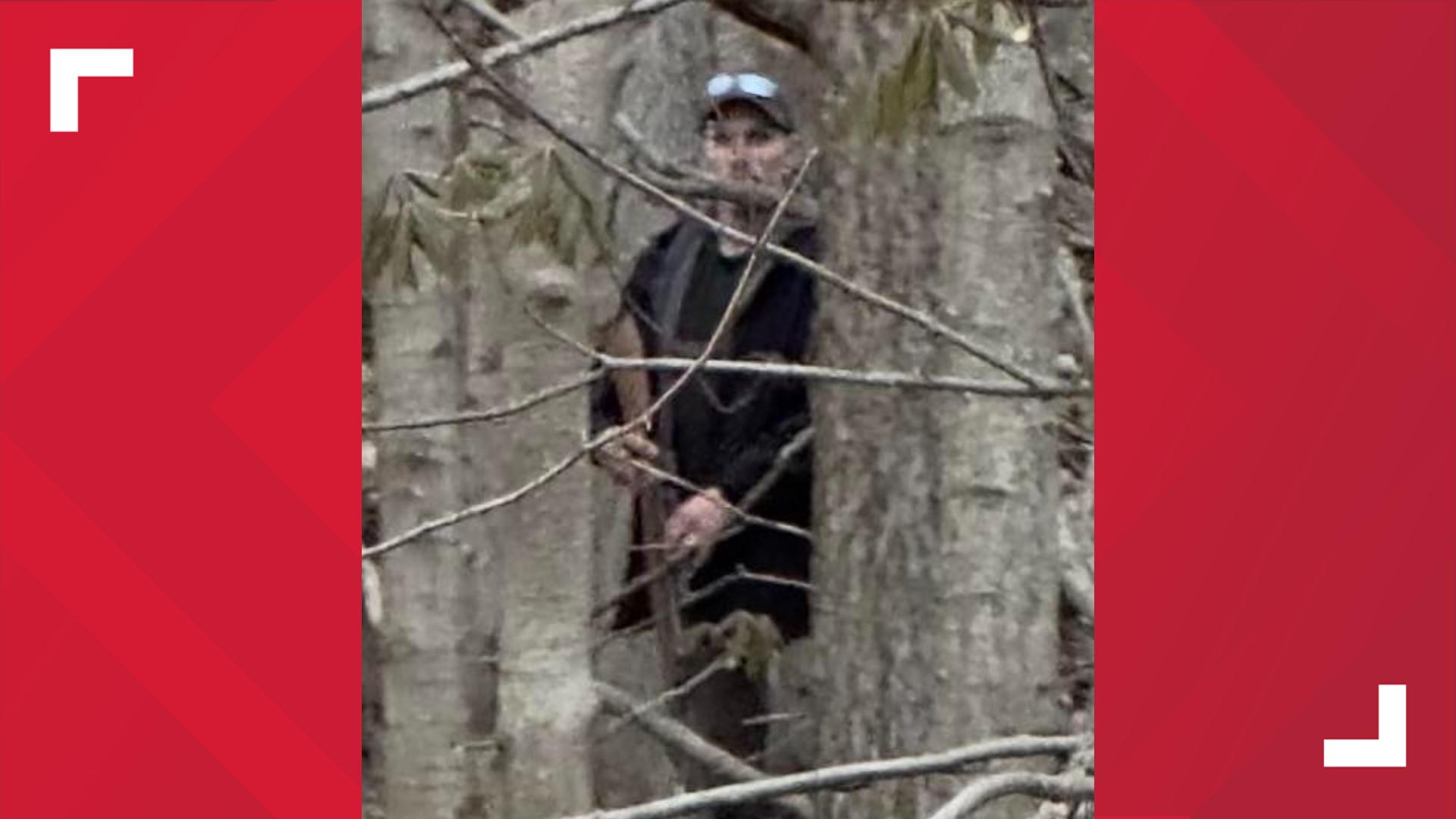 Suspect wanted after allegedly shooting hawk at Kokomo park | wthr.com