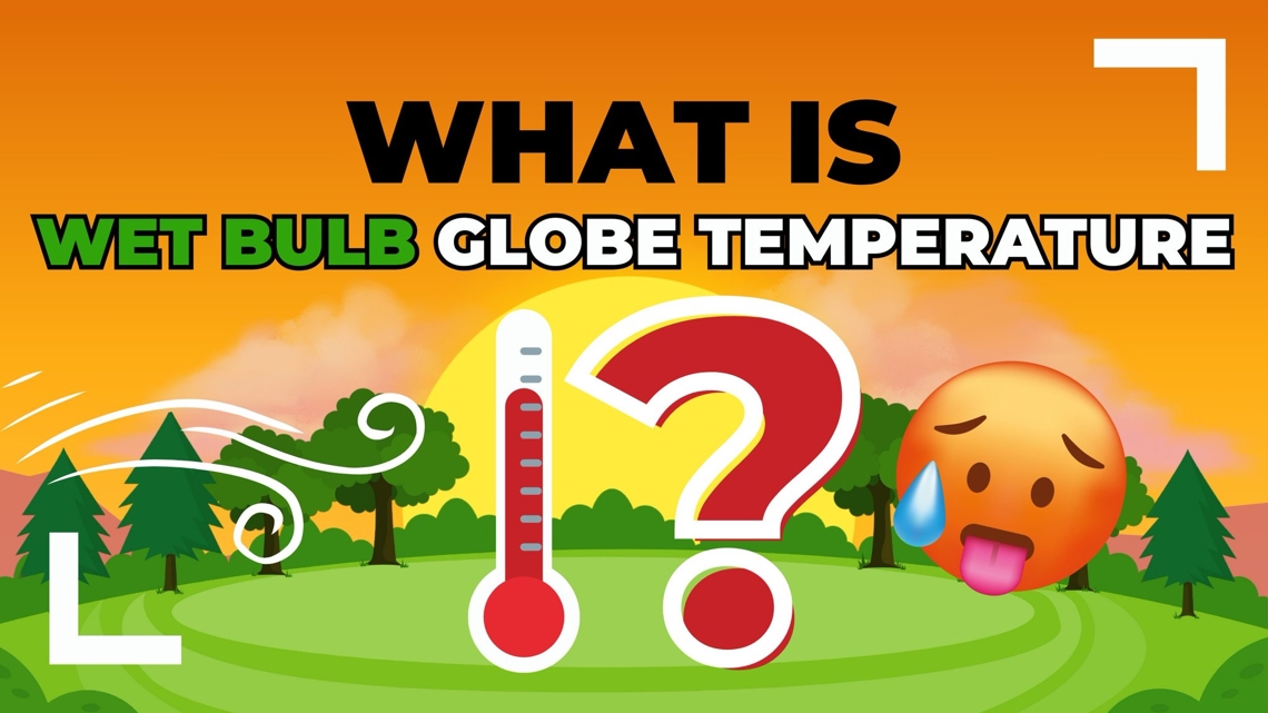How is the wet bulb globe temperature different from temperature ...