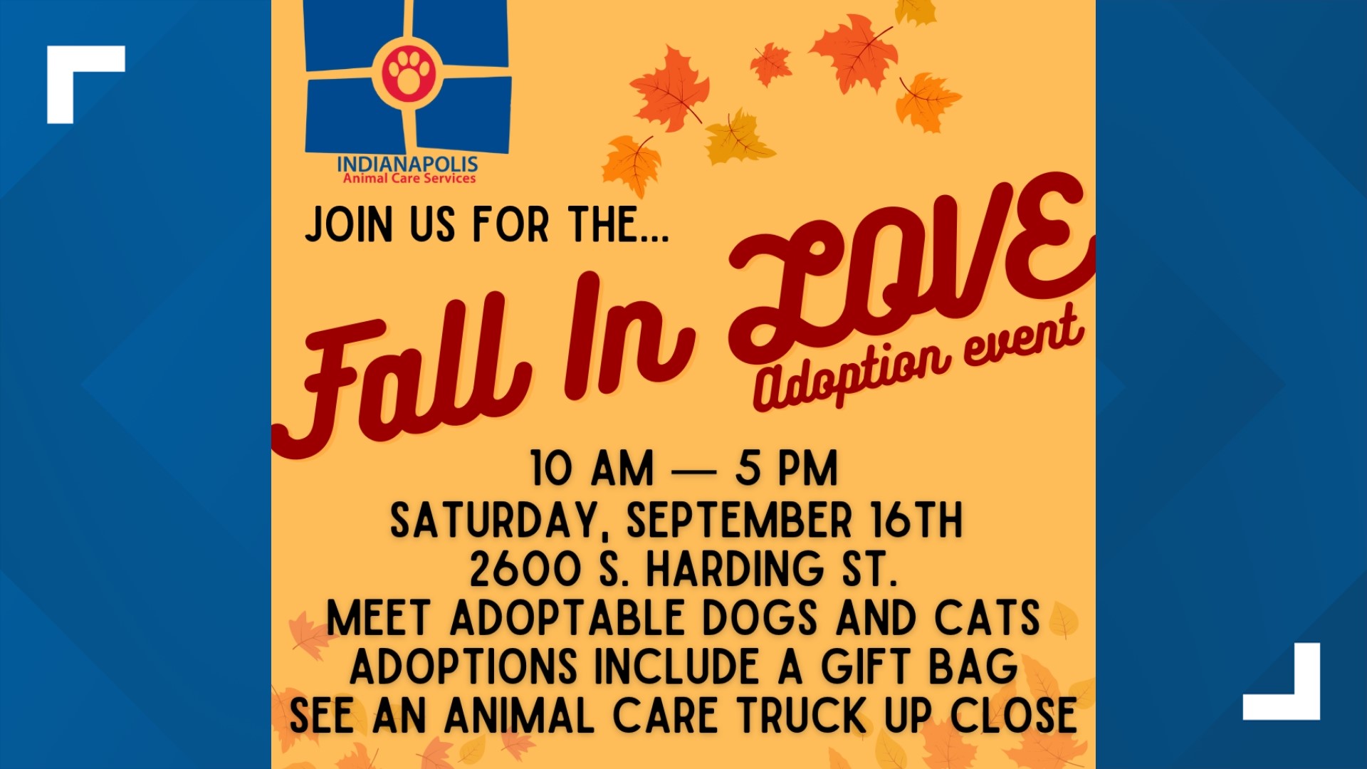 IACS holds fall pet adoption event | wthr.com