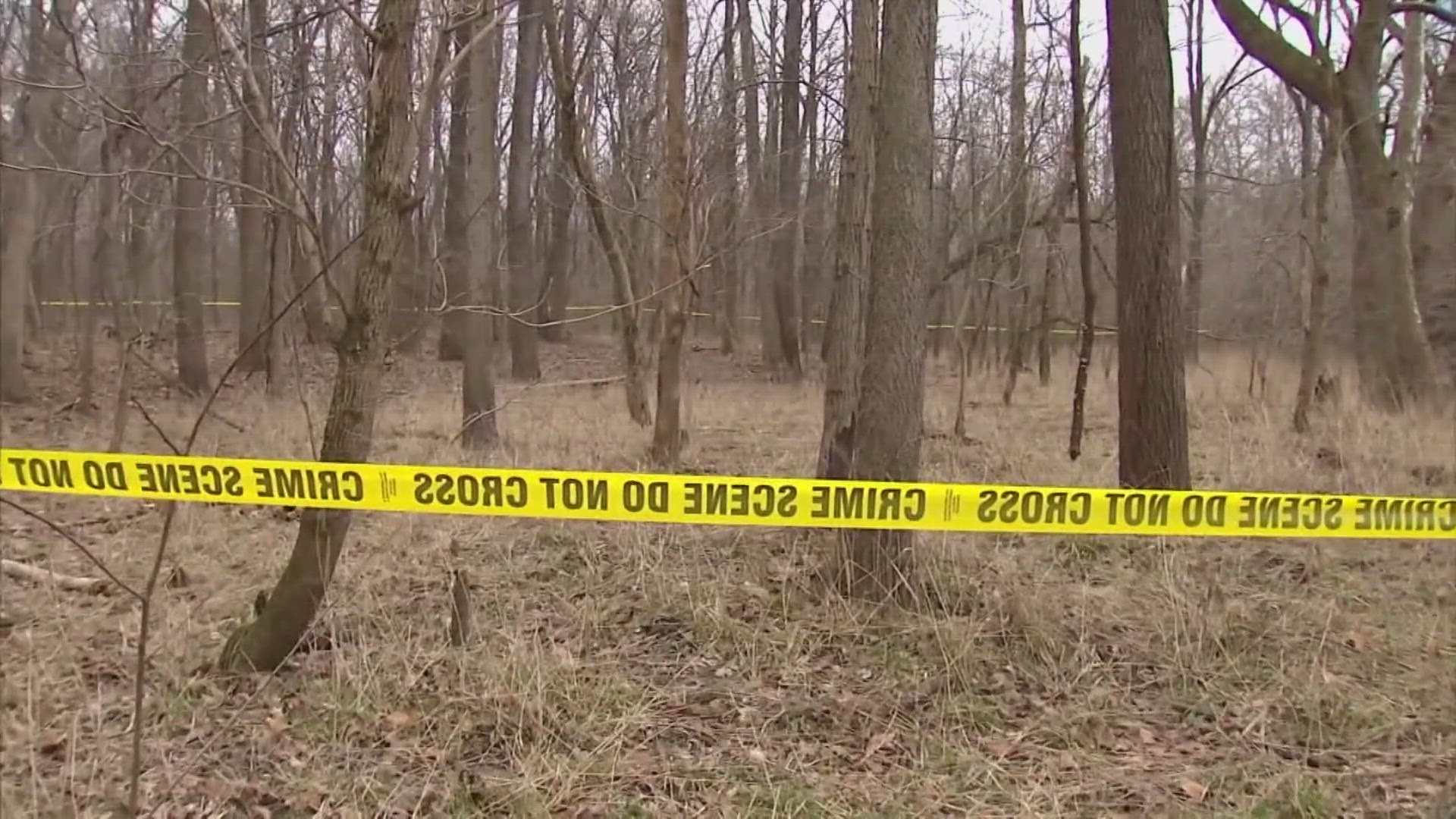 Special judge refuses to dismiss Delphi murders case against Richard Allen | wthr.com