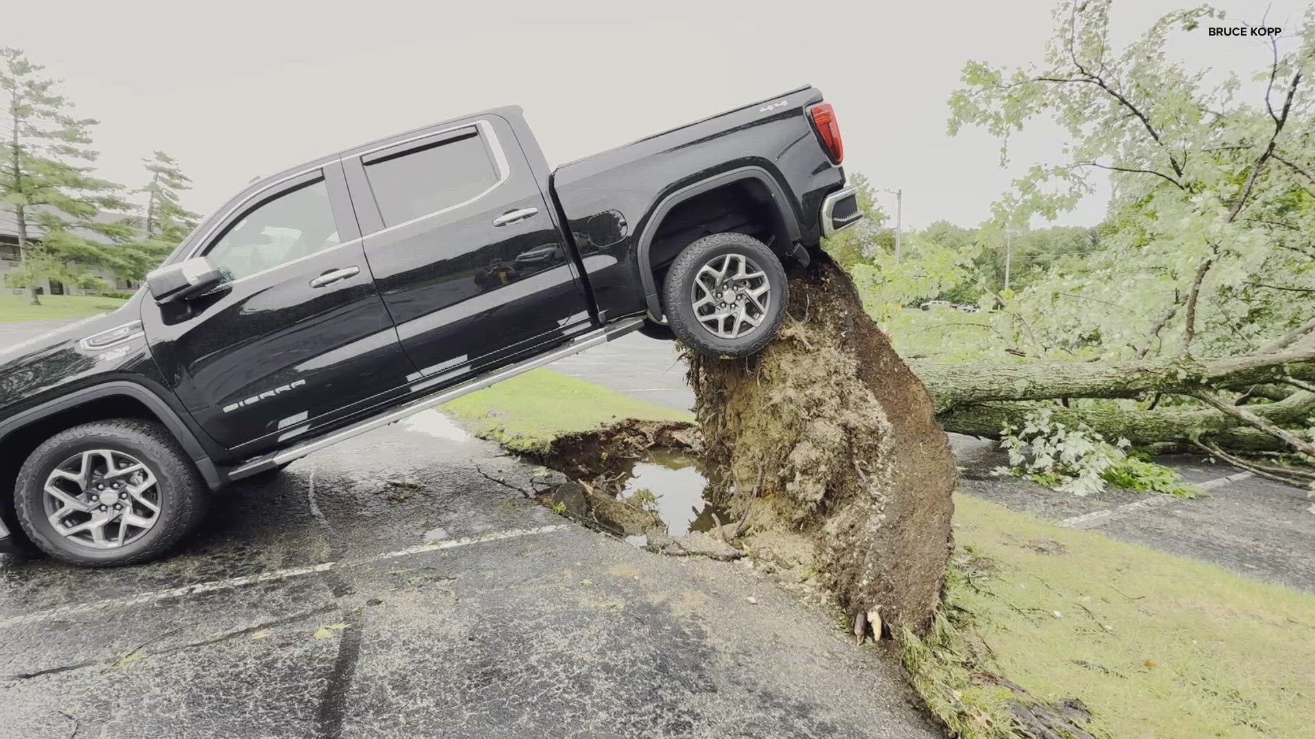 Trees downed, docks damaged during storms at Fourwinds Marina in Monroe ...