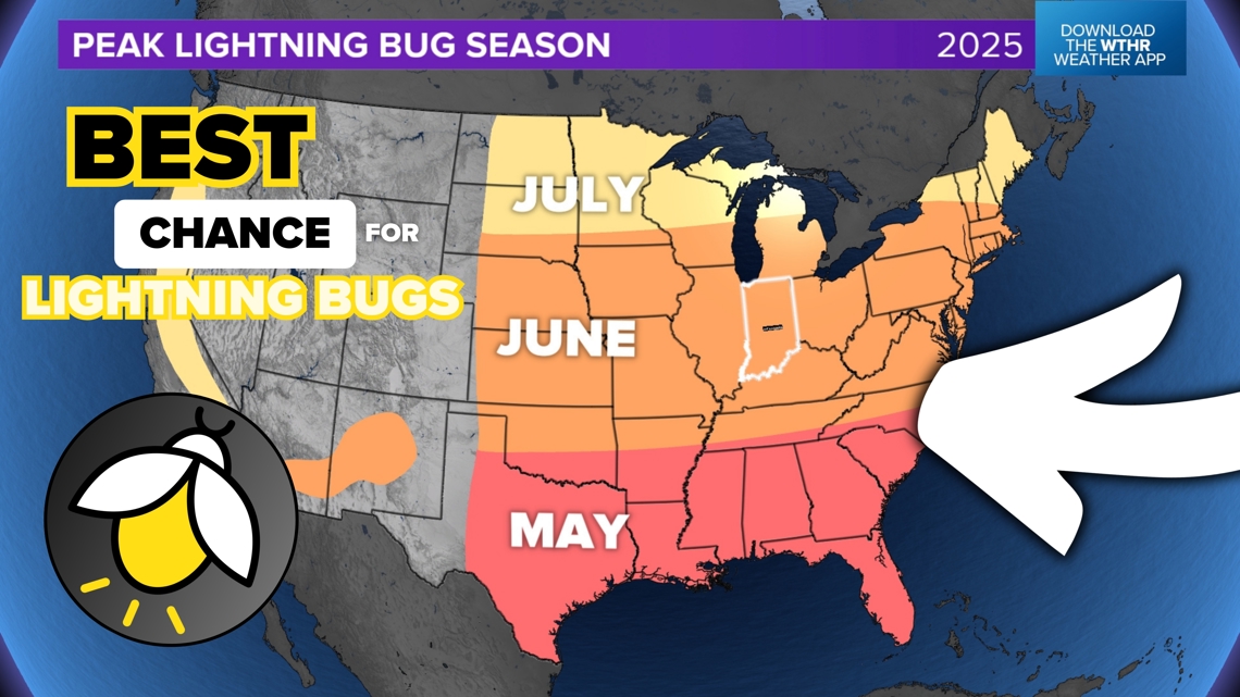 Lightning Bug Season in Indiana: What to Expect in 2025 | wthr.com