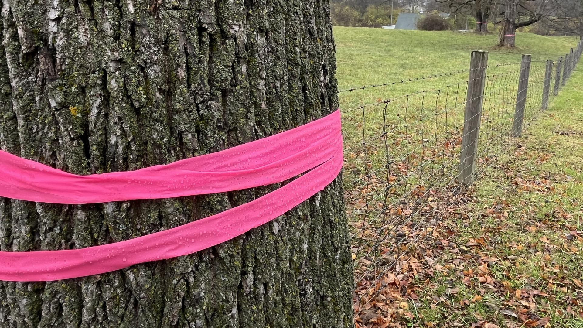 Hundreds of property owners threatened with legal action under latest ...