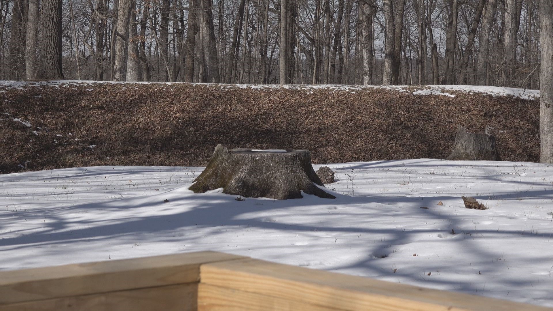 Going Green: Visiting Mounds State Park in Anderson | wthr.com