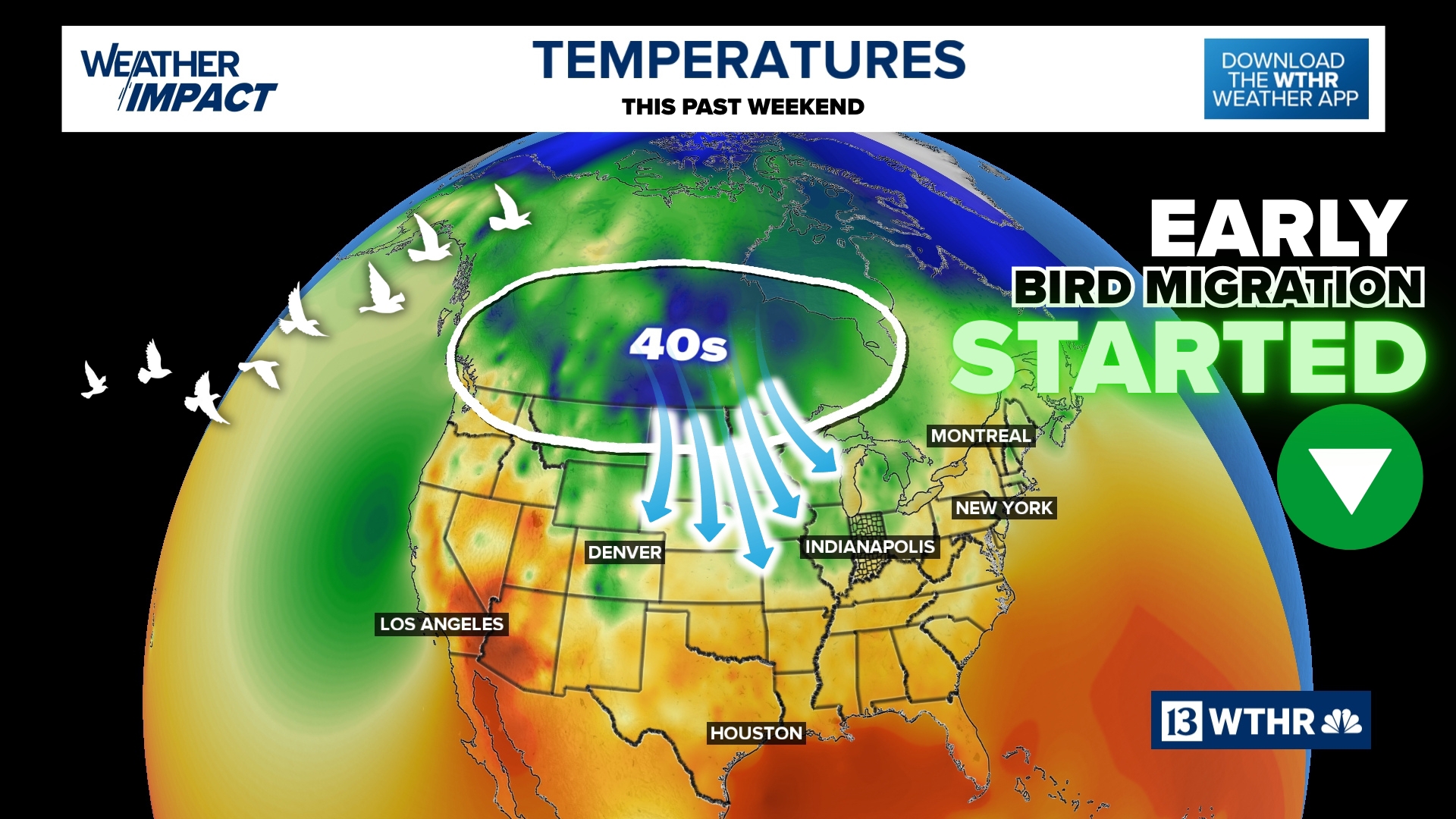 Early fall bird migration started for Indiana: what to watch for this ...