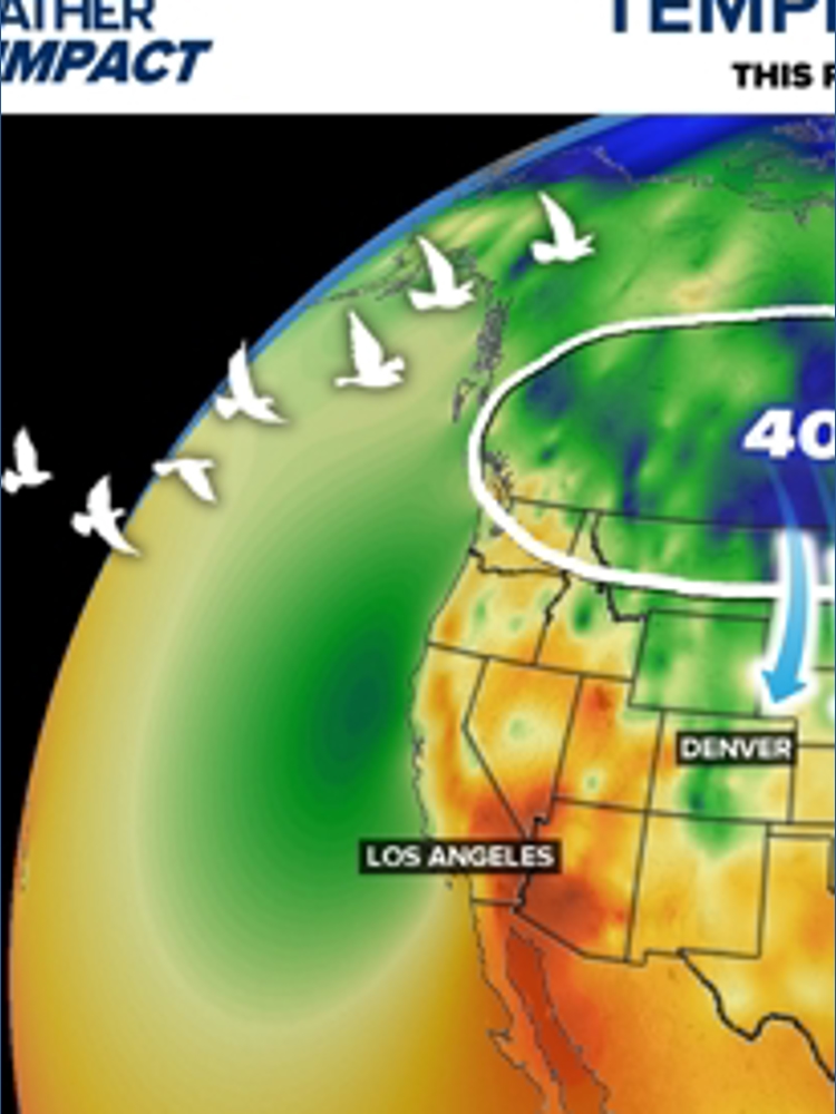 Early fall bird migration started for Indiana: what to watch for this ...