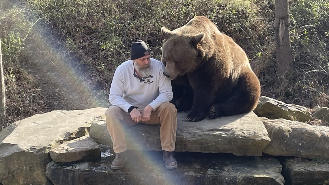Grizzly Ridge at Wilstem Wildlife Park | wthr.com
