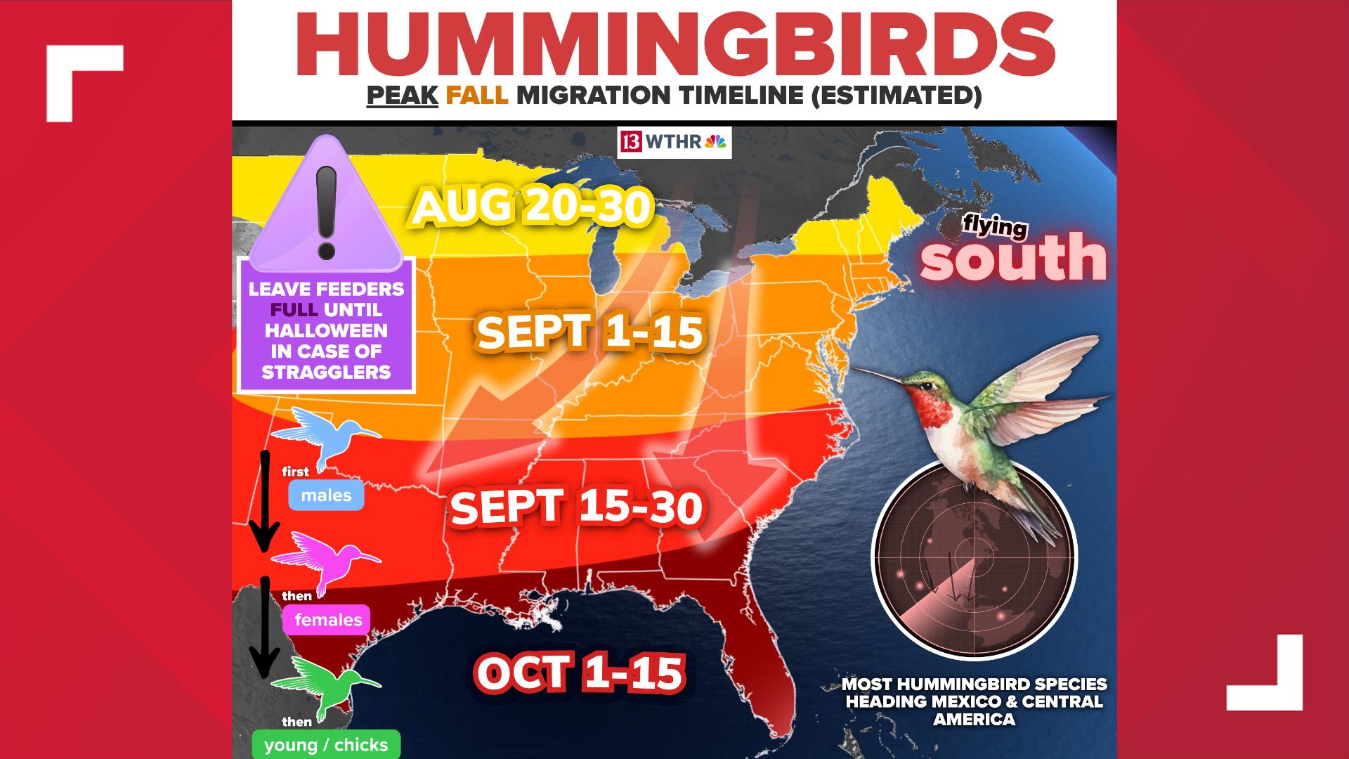 When do hummingbirds leave Indiana? Timing peak migration back south ...