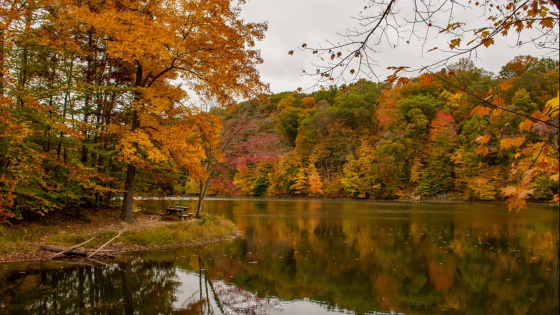 The science behind the smell of fall | wqad.com