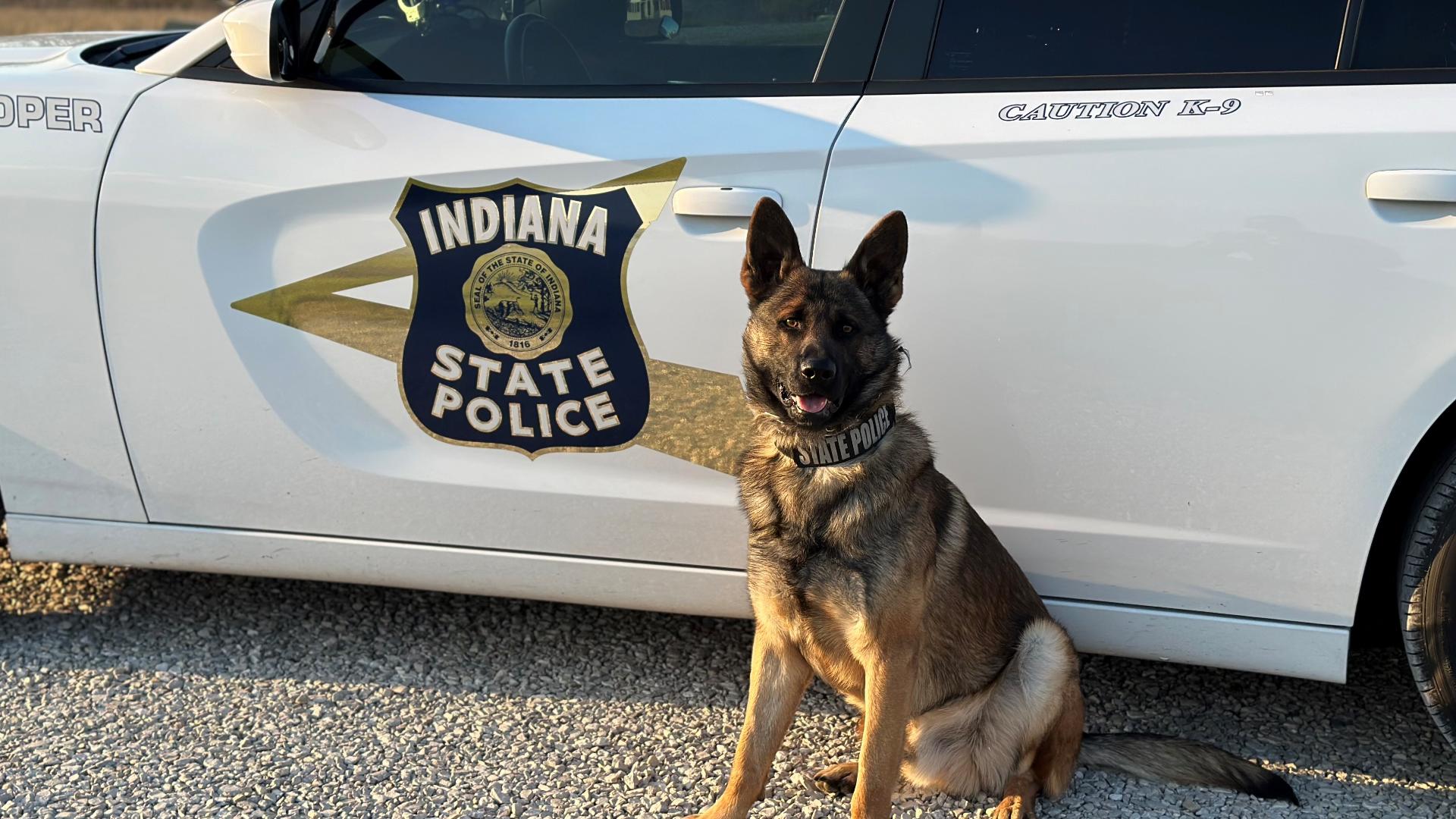 Bloomington Police Department K-9 receiving body armor from nonprofit ...