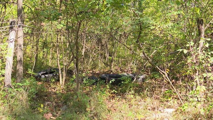 Police investigating missing person's remains found in burned car ...