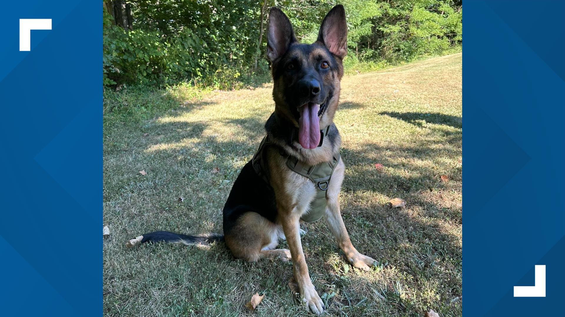 K-9 helps locate 2 missing children in Hoosier National Forest | wthr.com
