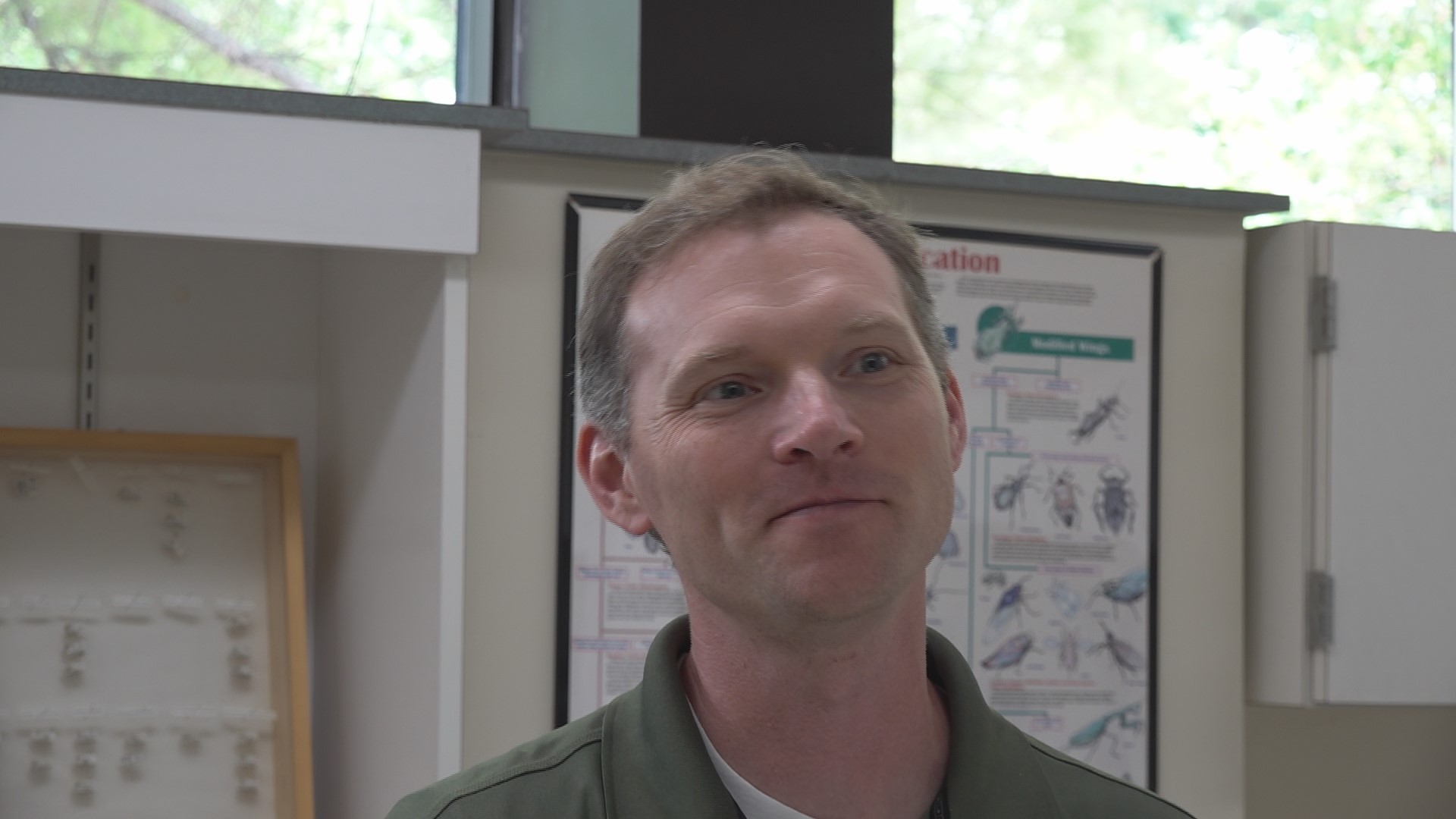 How to fight mosquitoes and help the environment | wthr.com