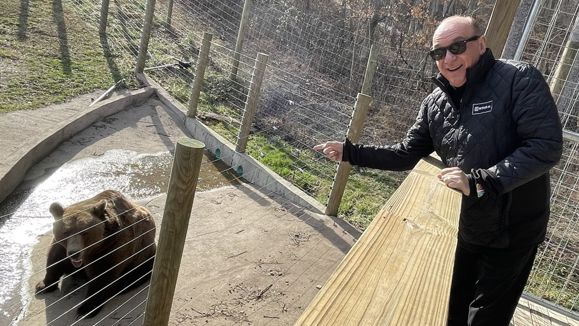 Grizzly Ridge at Wilstem Wildlife Park | wthr.com