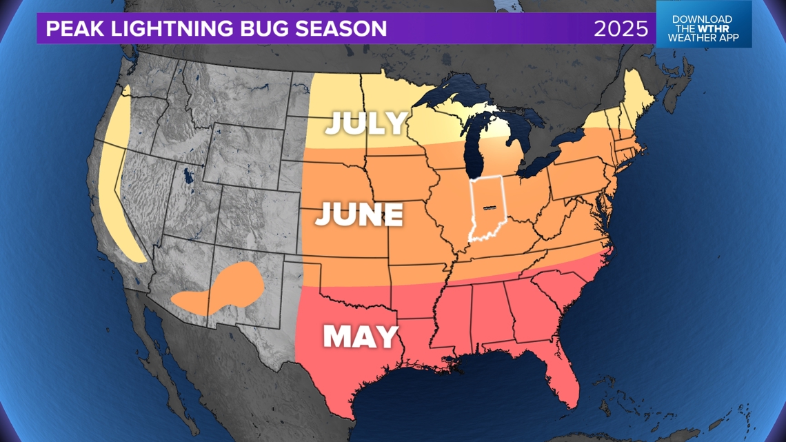 Lightning Bug Season in Indiana: What to Expect in 2025 | wthr.com