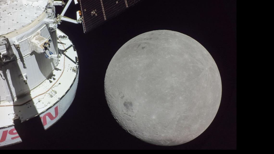 Indiana getting next generation 'moon tree' | wthr.com