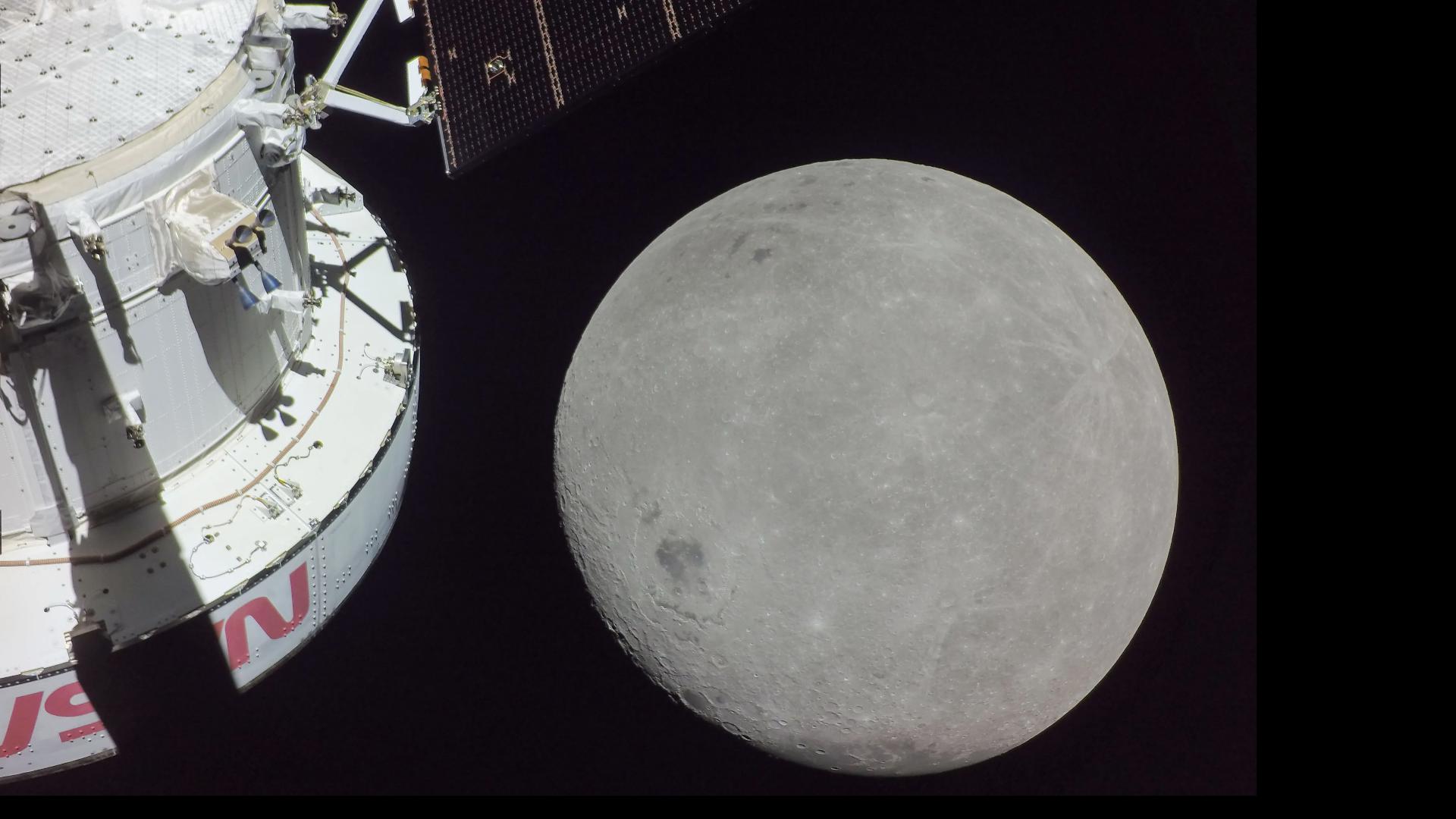 Indiana getting next generation 'moon tree' | wthr.com