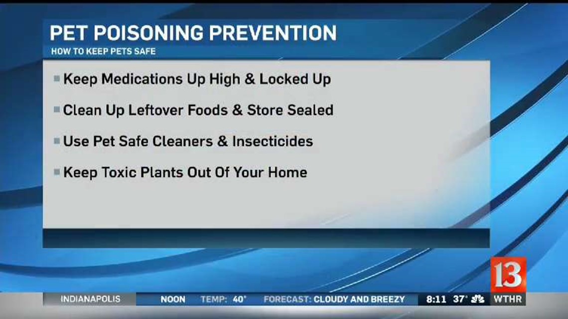 WATCH: Pet Vet - Poison prevention week | wthr.com