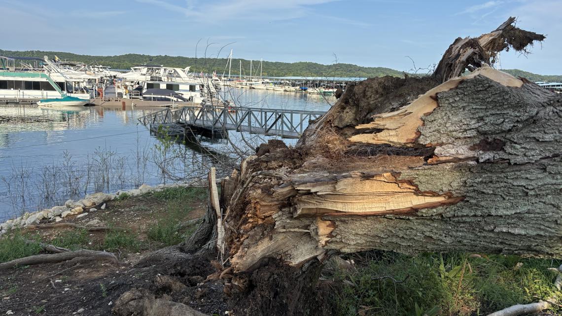 Trees downed, docks damaged during storms at Fourwinds Marina in Monroe ...