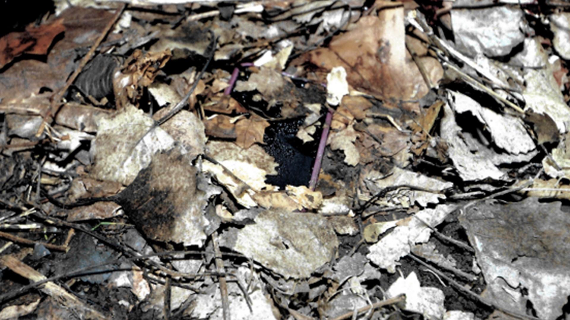 Carroll Co. prosecutor releases 3 new photos from Delphi crime scene ...