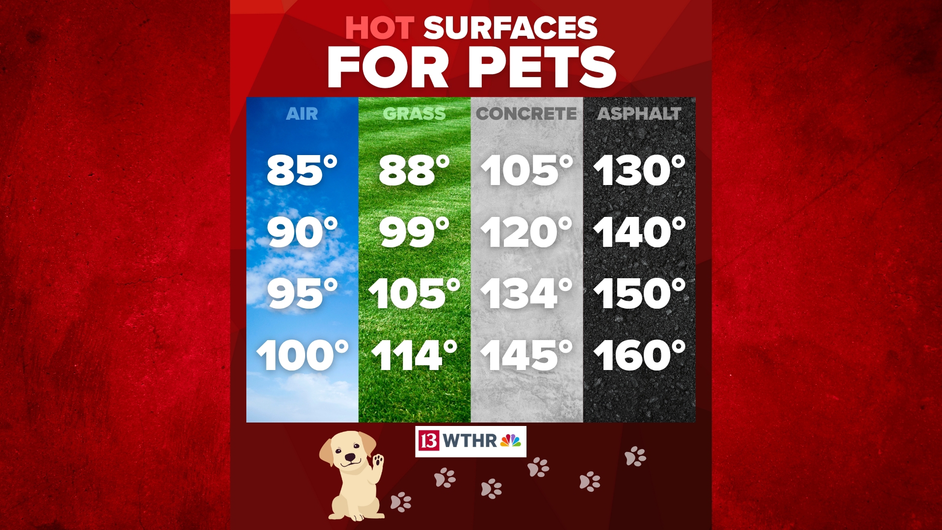 Hot Summer, Hotter Pavement: How to Protect Your Pets Paws | wthr.com