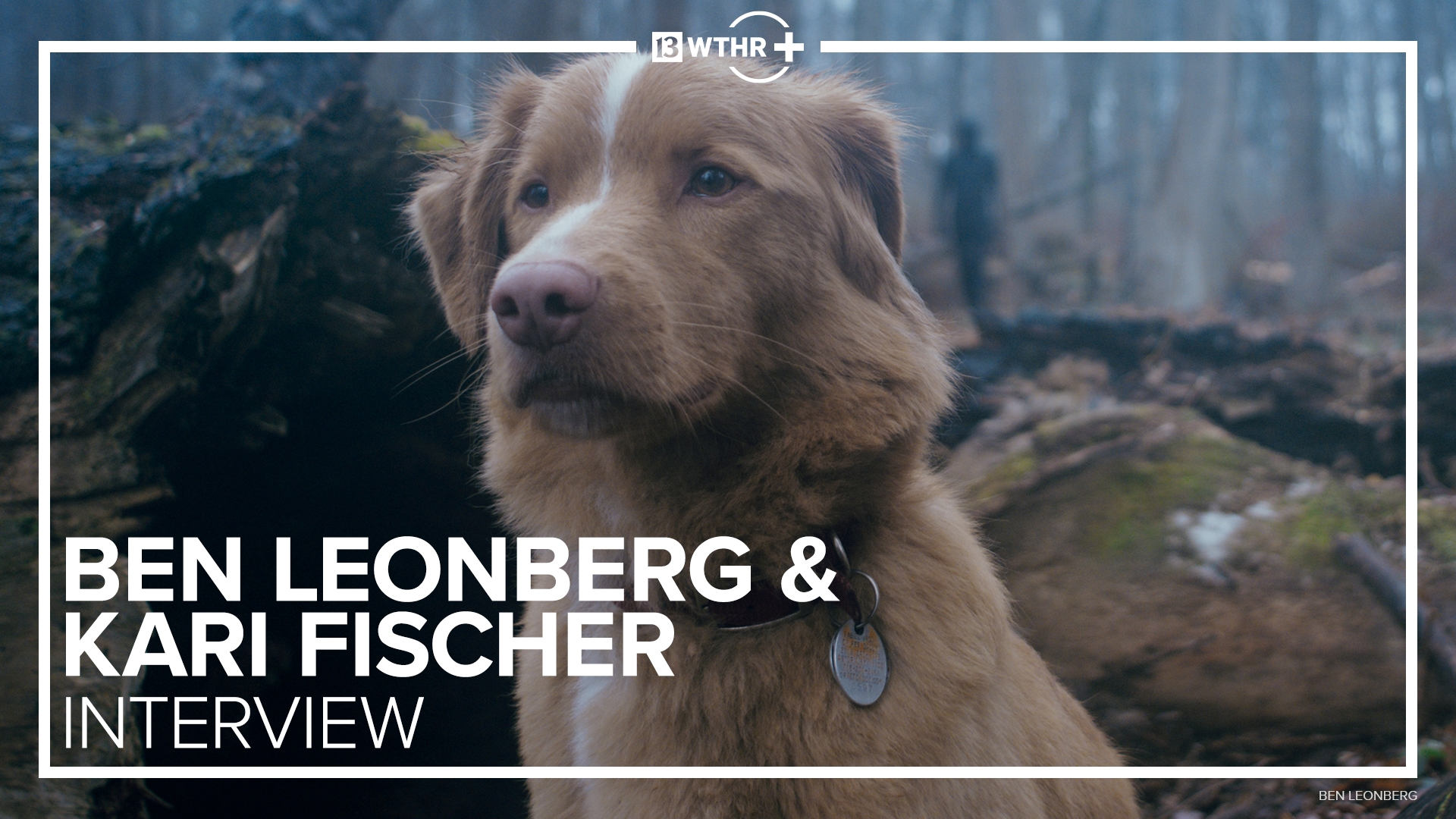 'Good Boy' director Ben Leonberg previews horror movie from dog's perspective | wthr.com