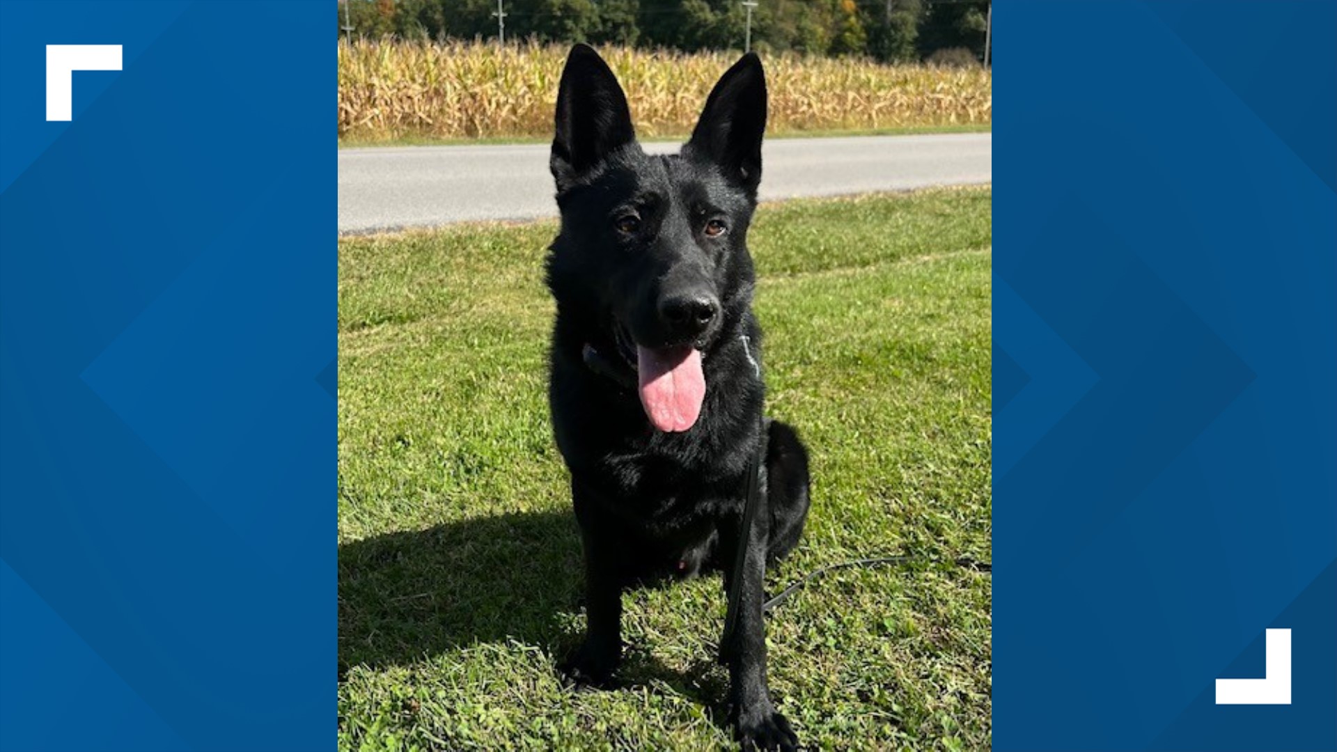 Indiana State Police K-9 to get donation of body armor | wthr.com