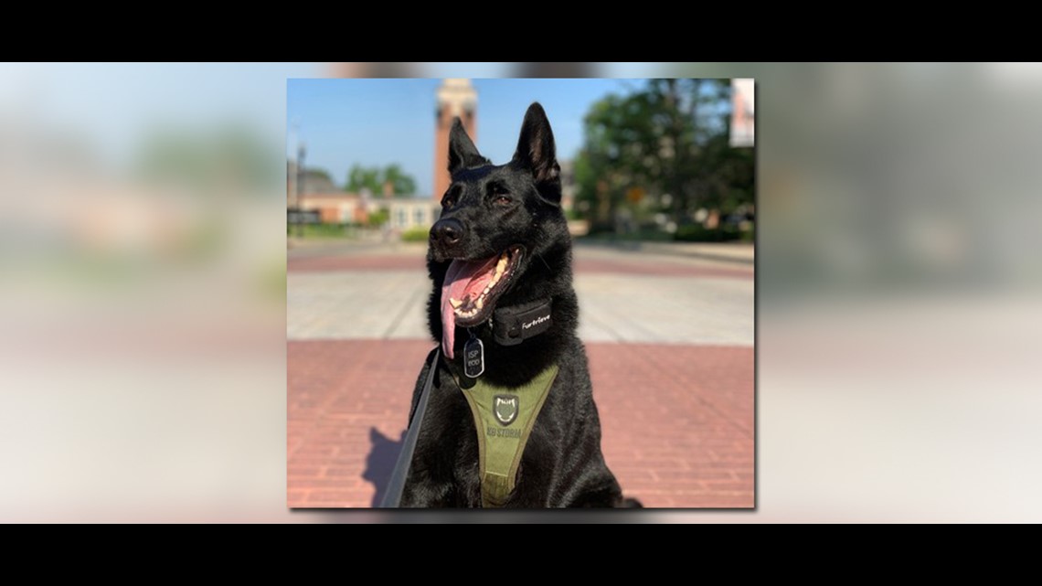 State police K-9 teams receive new safety equipment | wthr.com