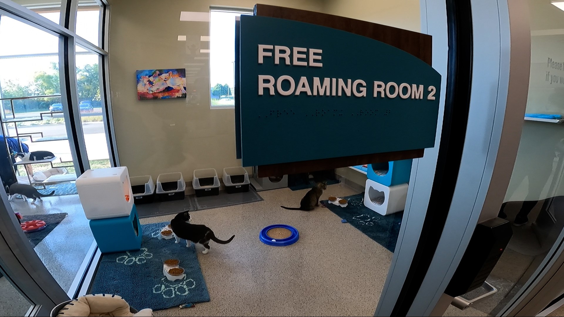 To the Rescue: Humane Society for Hamilton County | wthr.com