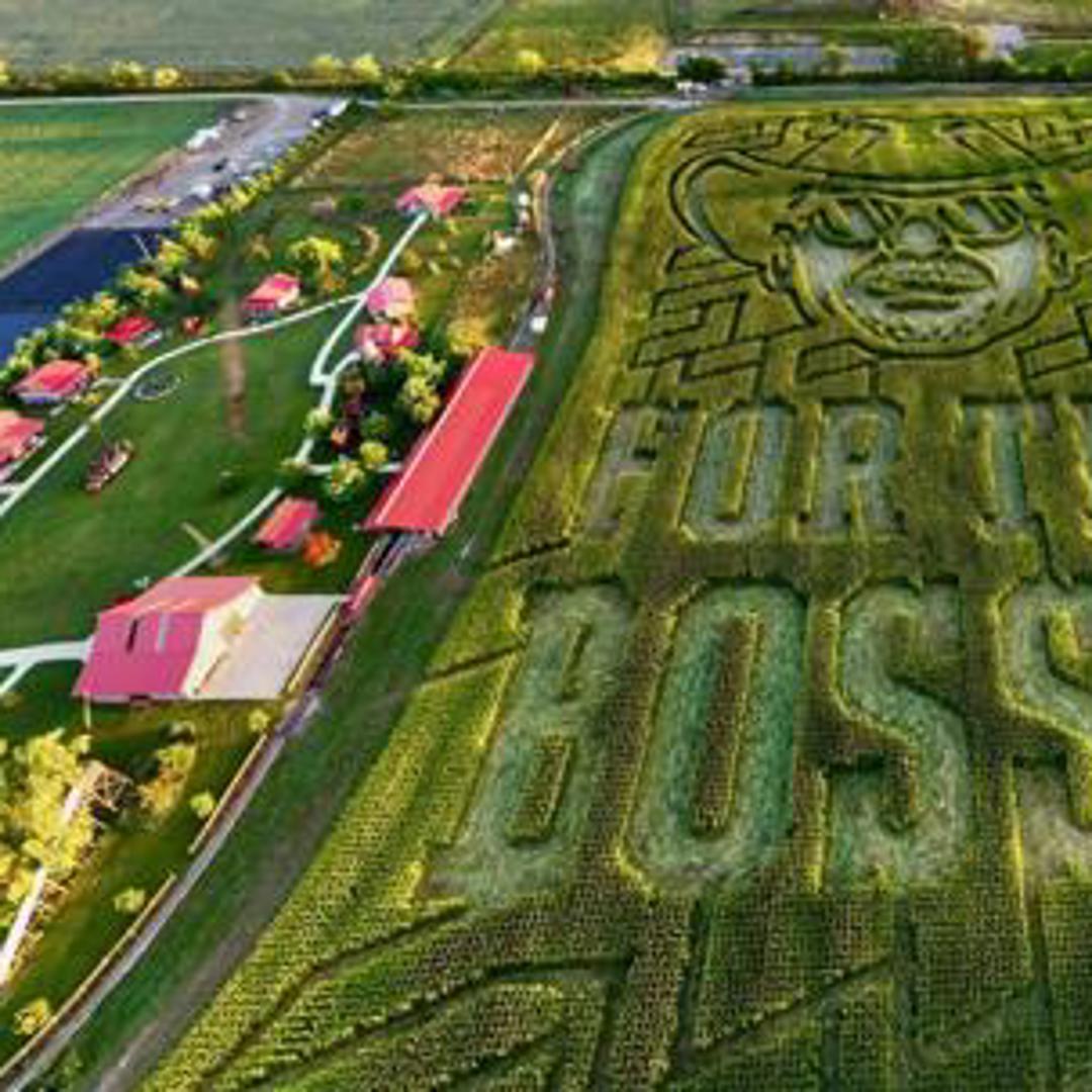 Greenfield farm honors late Colts owner Jim Irsay with massive corn ...