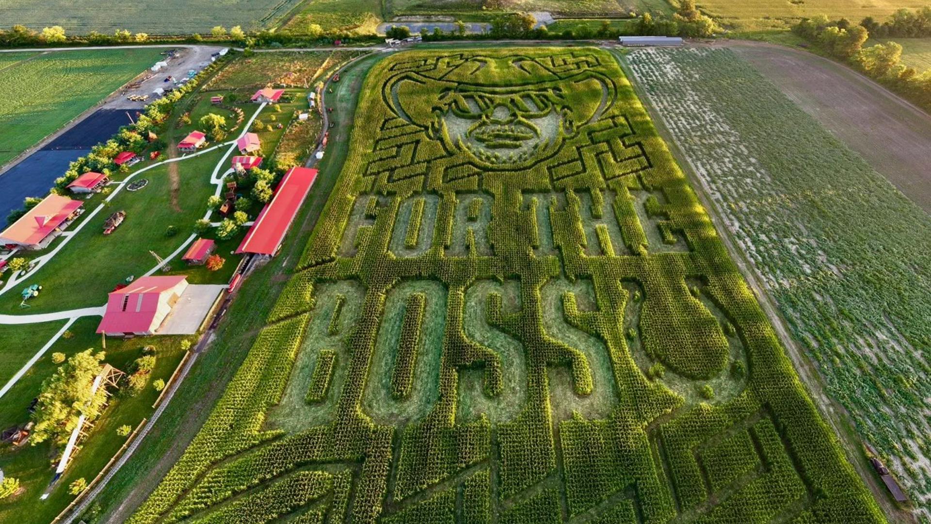 Greenfield farm honors late Colts owner Jim Irsay with massive corn ...