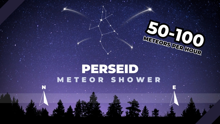 Where to look to see the Perseid meteor shower peak this weekend | wthr.com