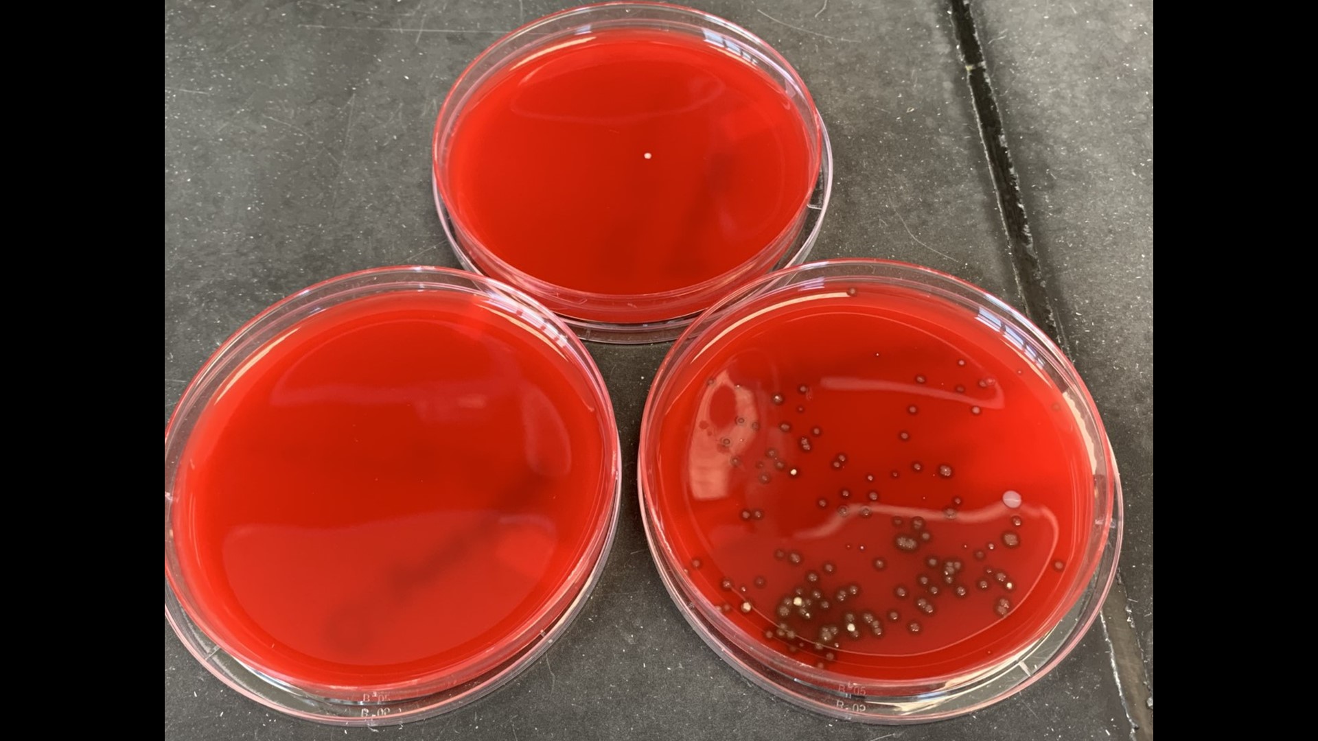 Lab experiment tests if masks really prevent spread of COVID-19 | wthr.com