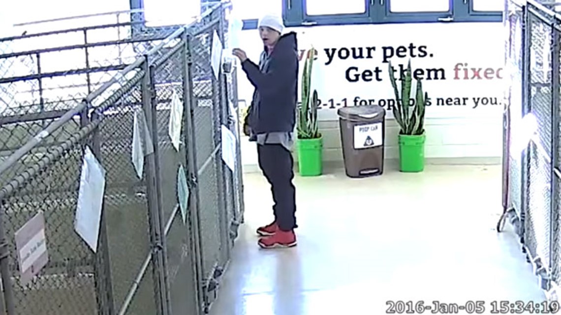 Man steals from Indianapolis Humane Society donation box | wthr.com