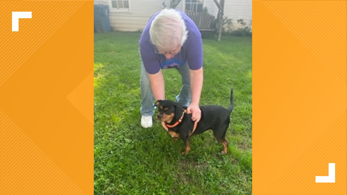 To the Rescue: Animal sanctuary helps place aging pets with Hoosier ...